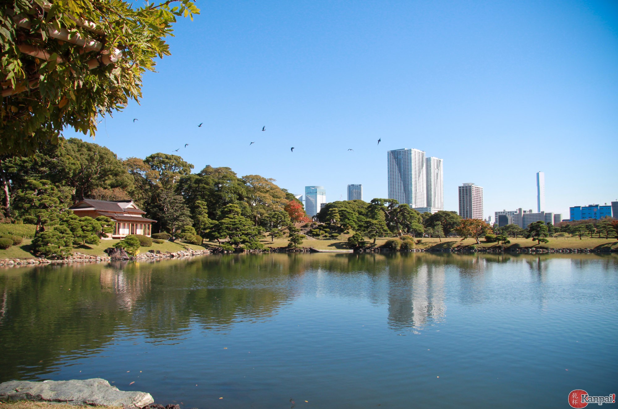 Parcs et jardins de Tokyo - Les espaces verts de la capitale