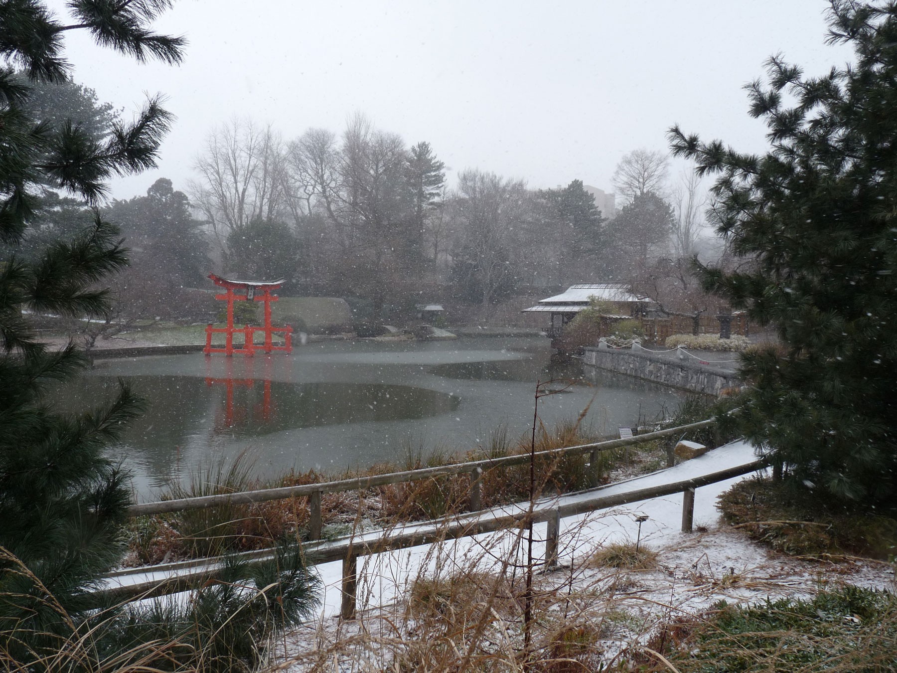 Brooklyn Botanic Garden, un jardin japonais à New York - Jardin Zen NYC