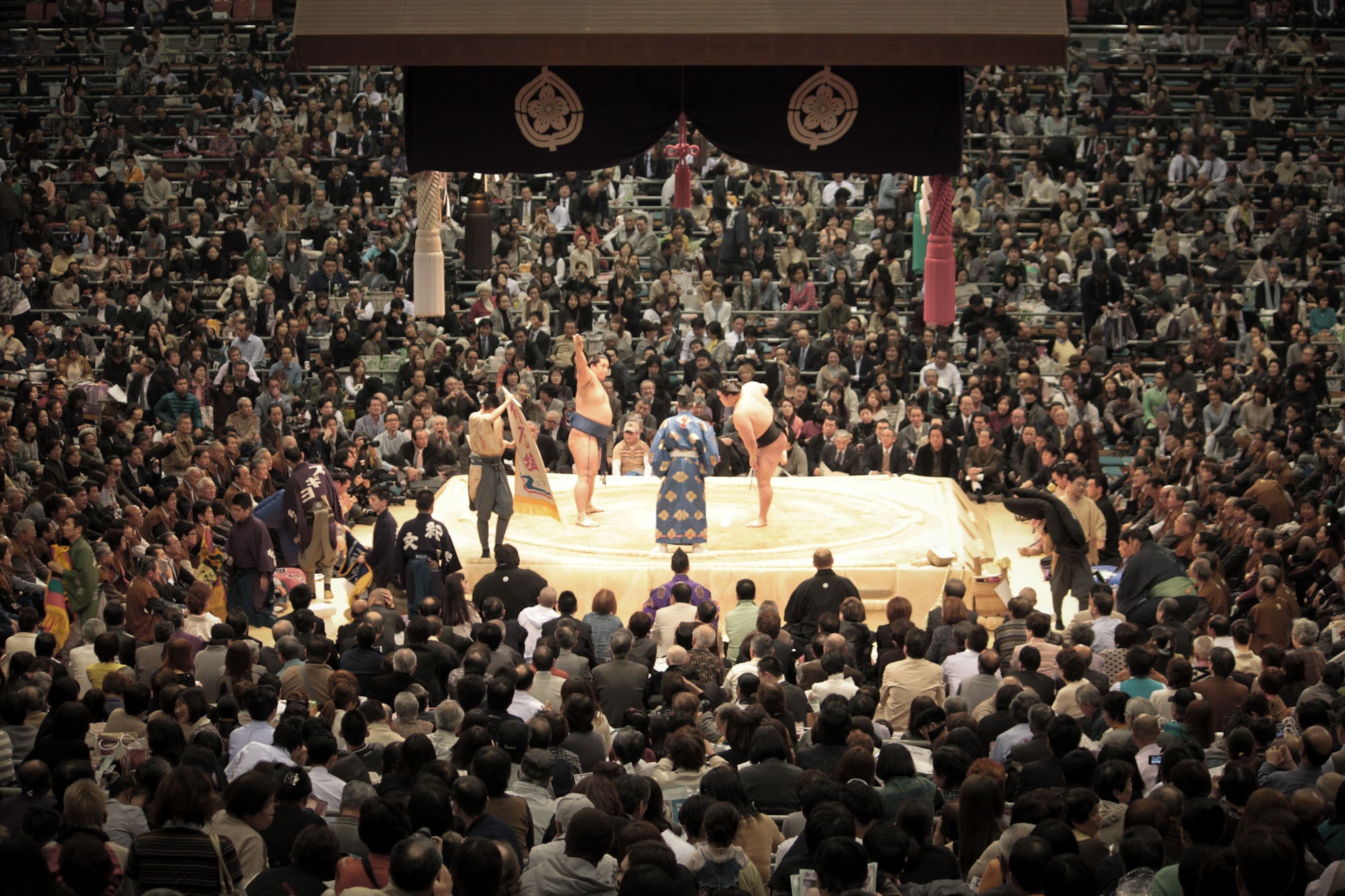 Tournoi de sumo - Le guide complet