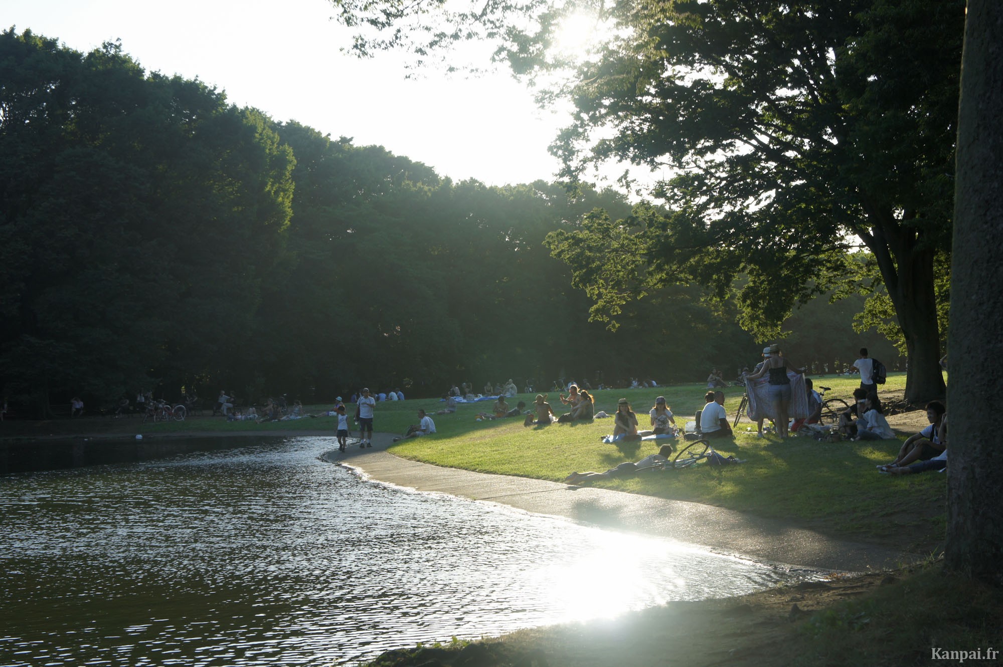 Yoyogi - Le grand parc de Harajuku