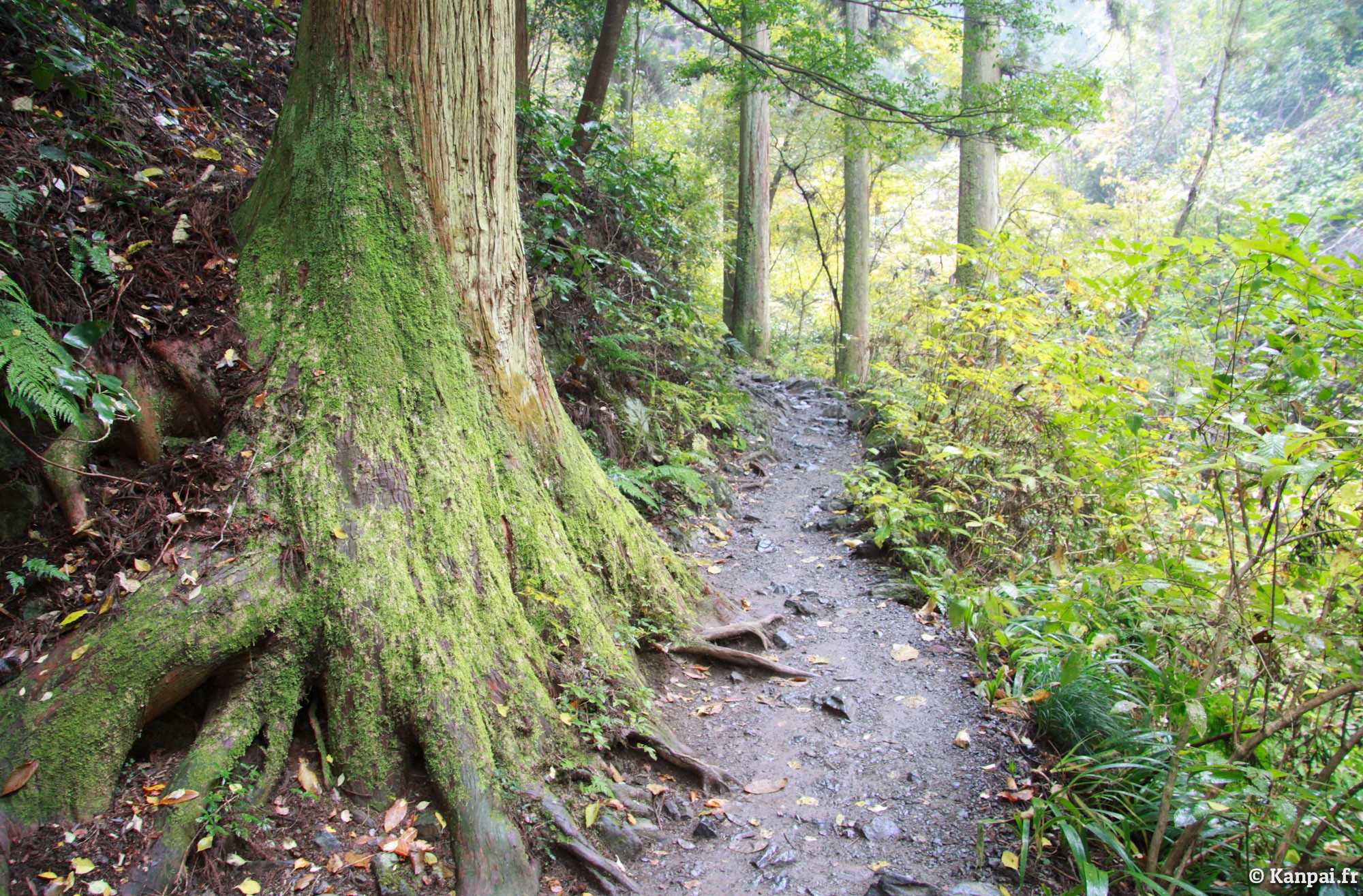 Mont Takao - La randonnée à deux pas de Tokyo