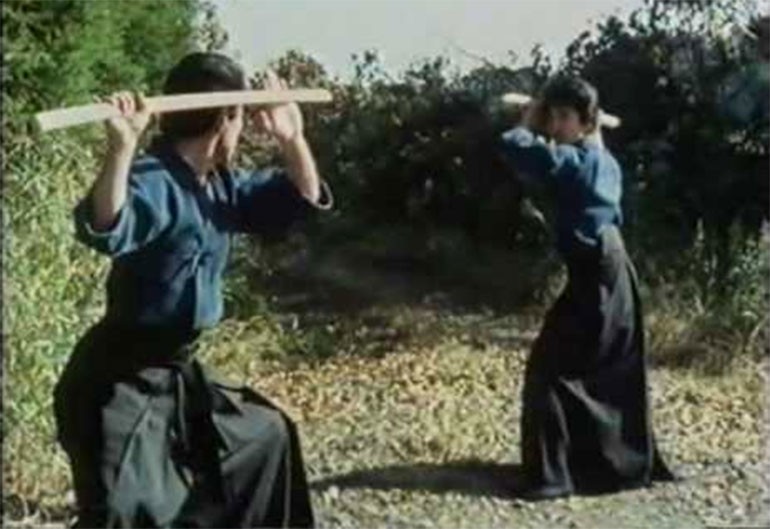 Way of the Warrior : à la découverte du Tenshin Shoden Katori Shinto ...