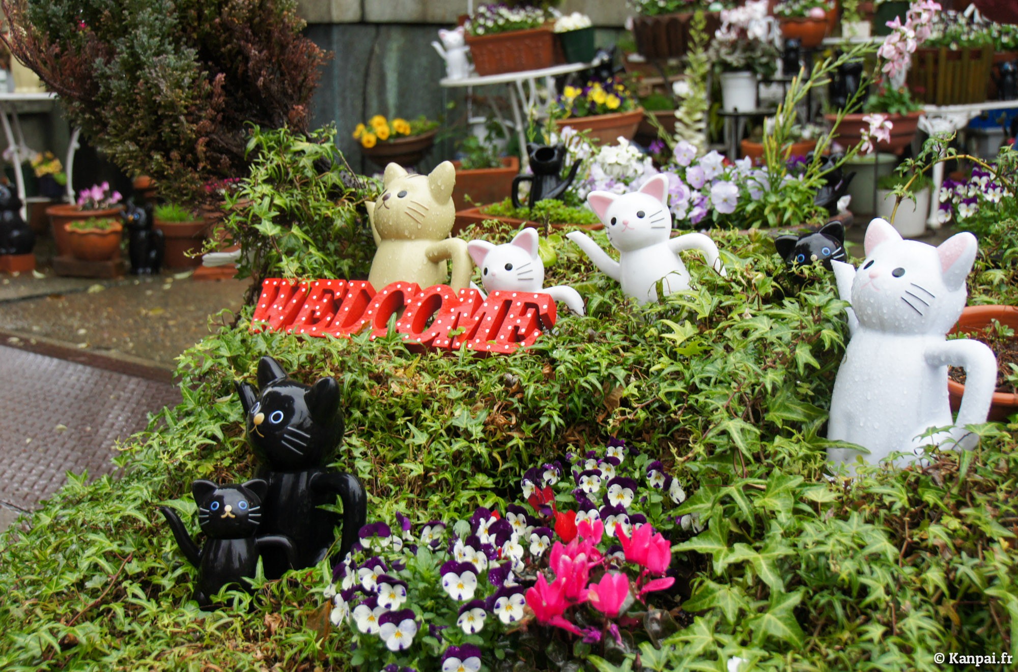 Imado-jinja - Le sanctuaire des félins pour l'autre