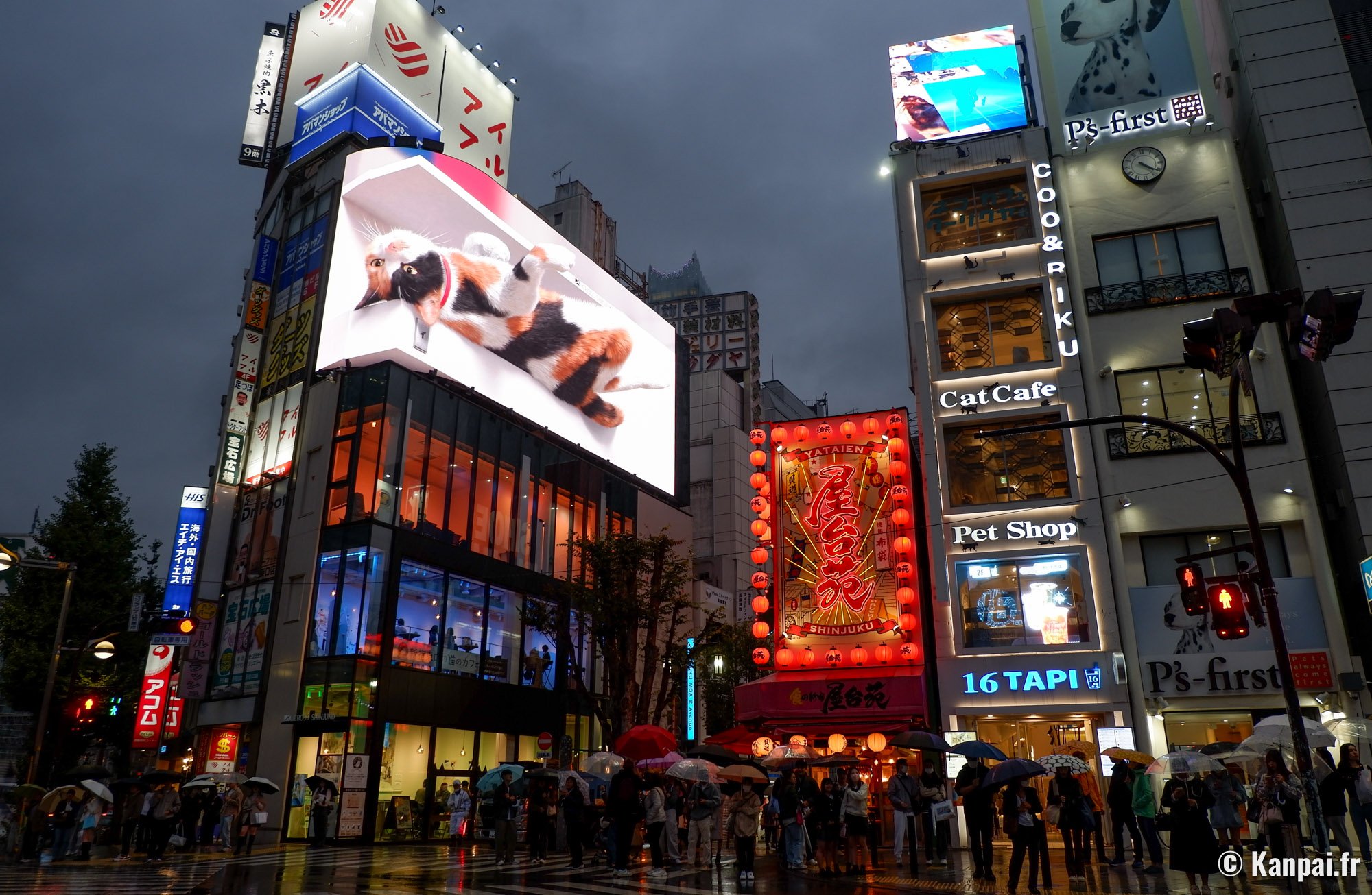 Chat 3D géant de Shinjuku - L'animation kawaii autour de la gare
