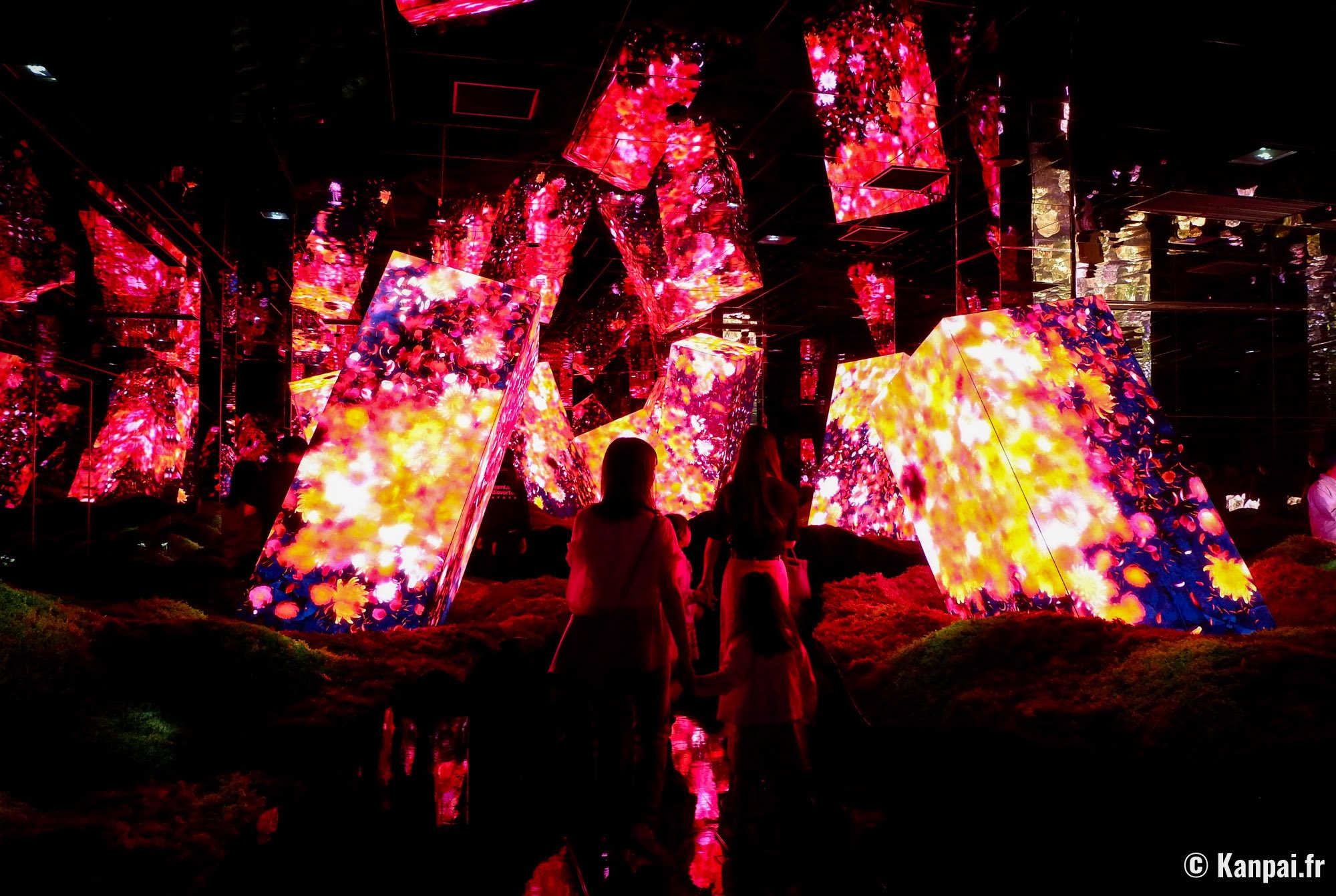 teamLab Biovortex Kyoto - Le plus grand musée d'art numérique du Japon