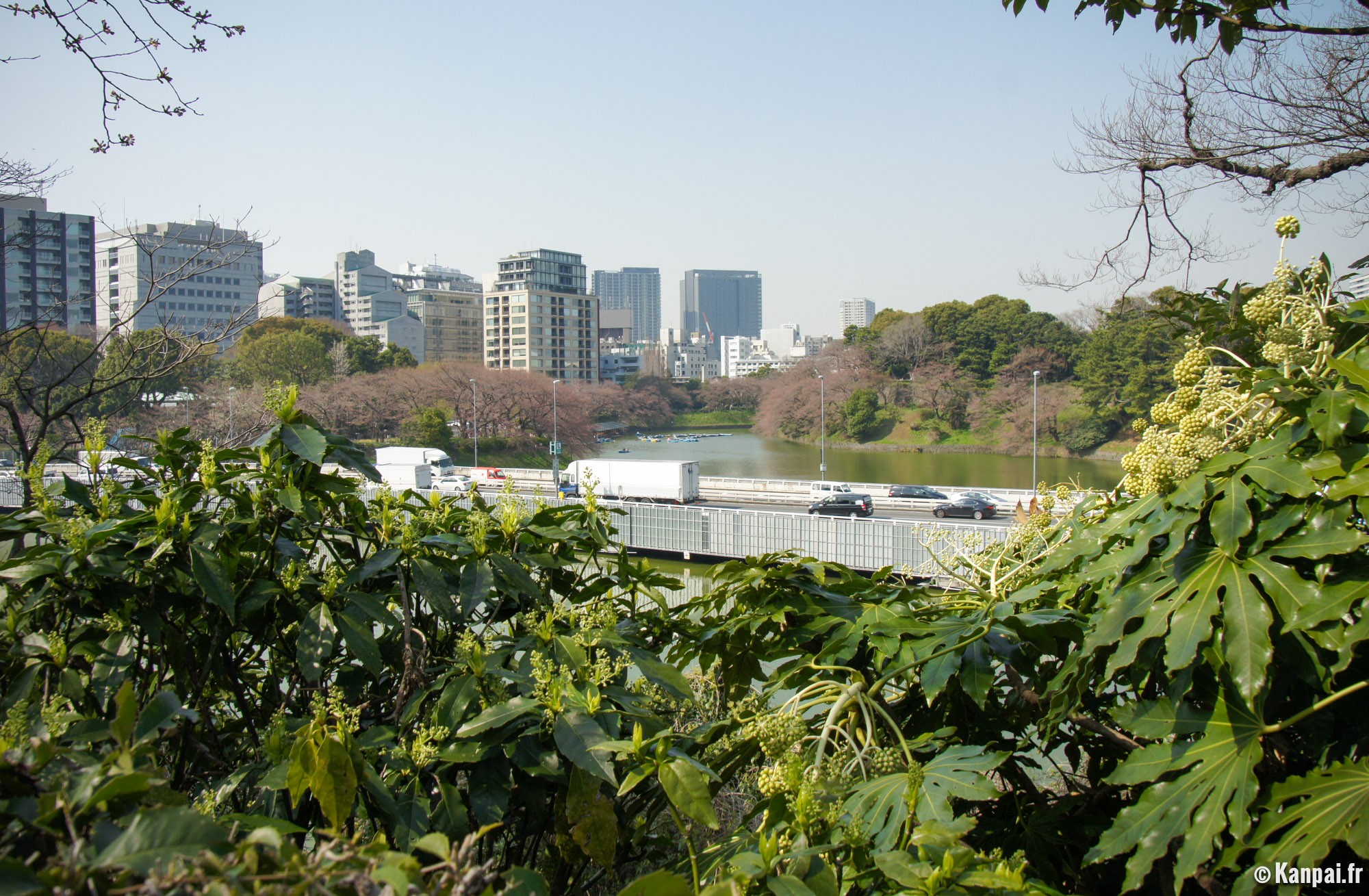 Chiyoda - Le cœur de Tokyo